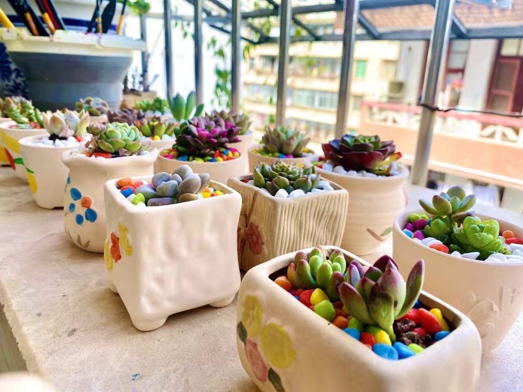 Ceramic Succulent Pots Bulk for Retailers & Garden Centers - Homey Ceramic
